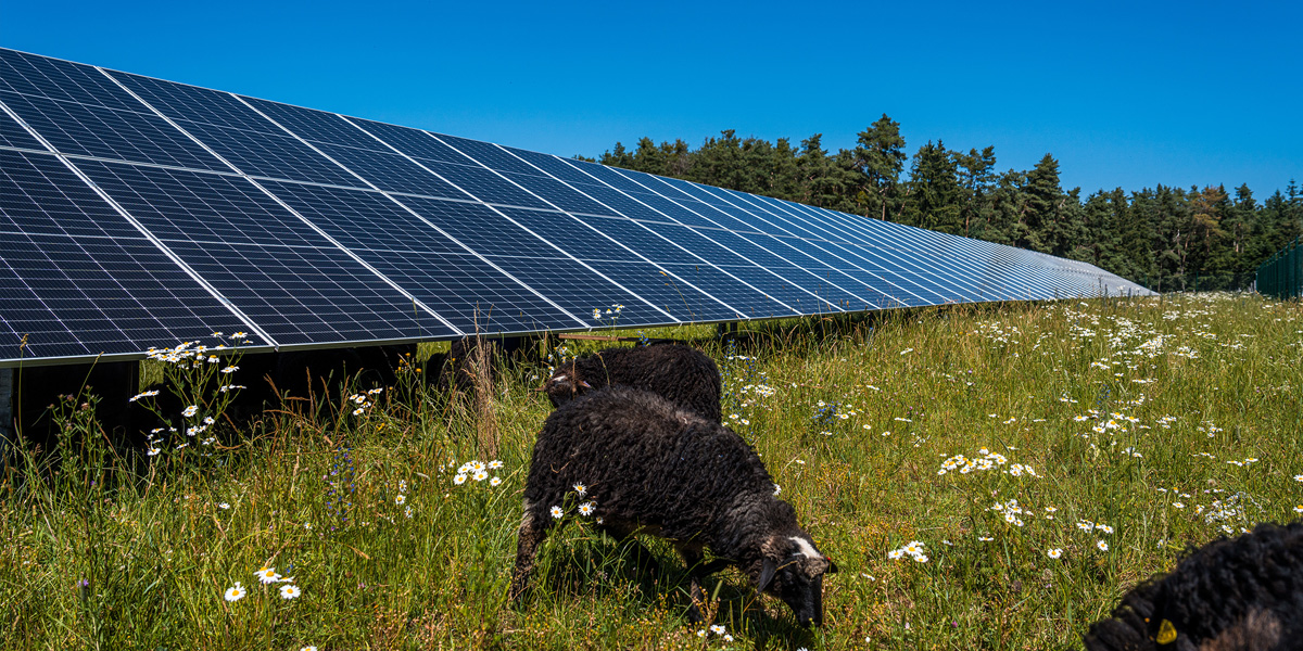 ABO Energy secures tariffs in solar tender