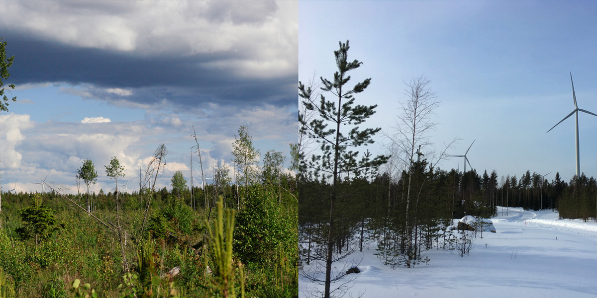 Pitkämaan tuulivoimahanke, Tervola